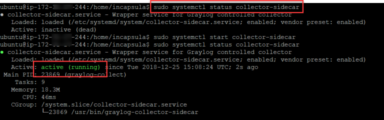 The collector service should now appear as active in Graylog: