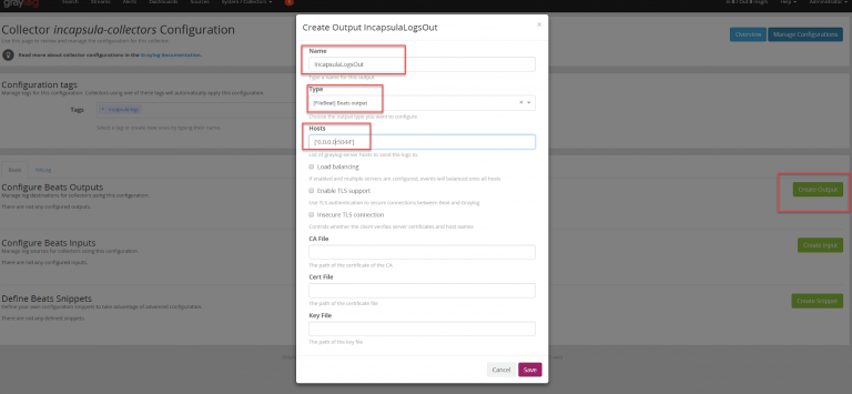 Now click on Create Input and configure the collector as below: