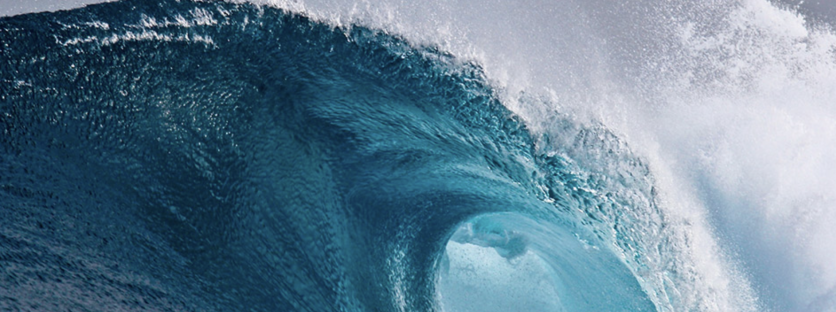Imperva is named a Leader in The Forrester Wave™: Bot Management, Q2 2022