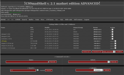 Example of a backdoor dashboard with command execute capabilities.
