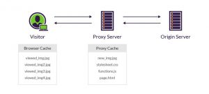 Browser Caching vs Proxy Server Caching