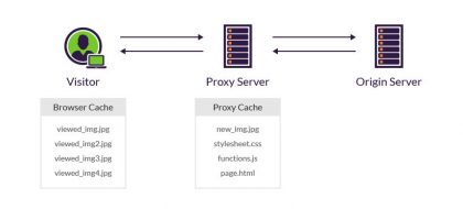 Browser Caching vs Proxy Server Caching