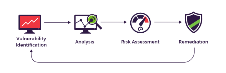 1 Vulnerability Identification Testing