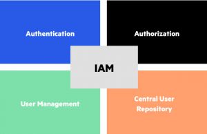 Elements of Identity and Access Management systems