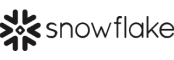 logo snowflake