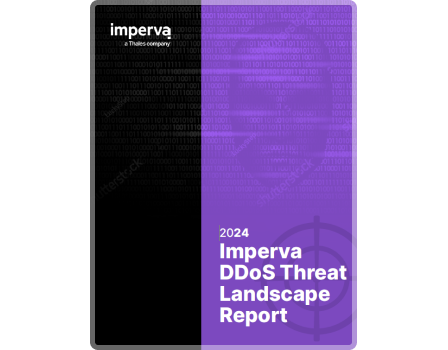 DDoS report